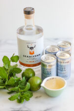 How to Make the Perfect Classic Mojito - Lisa's Dinnertime Dish